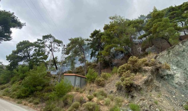 Kumluca'da çıkan orman yangınında 1 dekar alan yandı - Asayiş - Kamu Haber