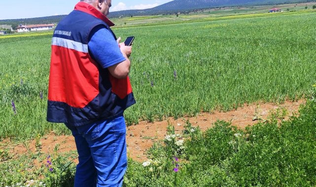 Çavdarhisar'da Referans Parsel Çalışmaları sürüyor - Ekonomi - Kamu Haber