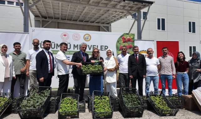 Düzce çiftçisine fide ve damla sulama sistemi desteği - Kültür-Sanat ...