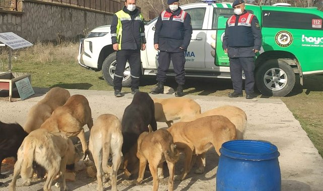Kütahya İl Jandarma Komutanlığı Çevre Doğa ve Hayvanları Koruma Timi ve ...