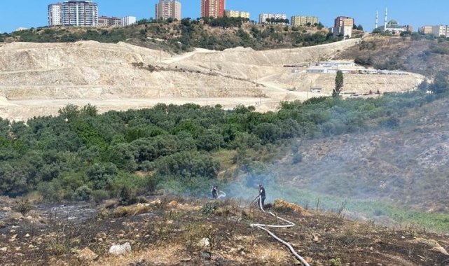 Balıkesir'in Bandırma İlçesi Levent Mahallesinde ağaçlık arazide çıkan ...