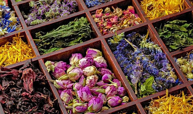 Bitkisel Çaylar Ve Çeşitleri - Sağlık - Kamu Haber