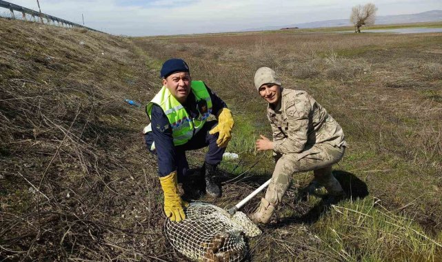 Muş İl Jandarma Komutanlığına bağlı Çevre, Doğa ve Hayvanları Koruma ...