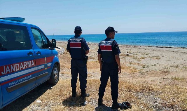 Antalya'nın Alanya ilçesinde yeşil deniz kaplumbağası ve caretta carett ...