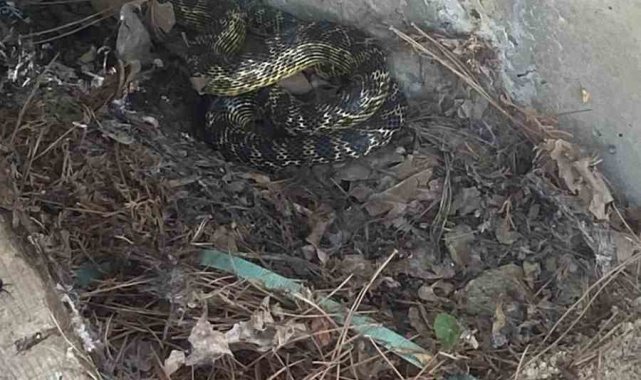 Bilecik'te hava sıcaklığının bir anda artmasından dolayı kent merkezind ...