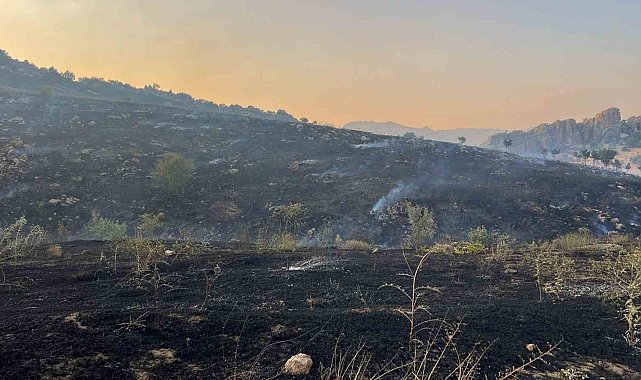 Diyarbakır'da merada başlayan yangın ormanlık alana yayıldı - Asayiş ...