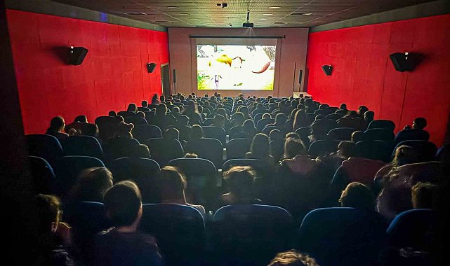 Aydın'da 252 bin kişi sinemaya gitti - Kültür-Sanat - Kamu Haber