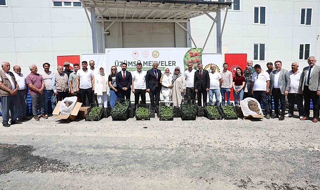 Düzce çiftçisine fide ve damla sulama sistemi desteği - Kültür-Sanat ...
