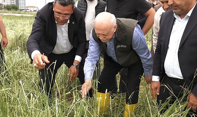 TZOB Genel Başkanı Bayraktar: "Kahramankazan'ın köylerinde 14 bin ...